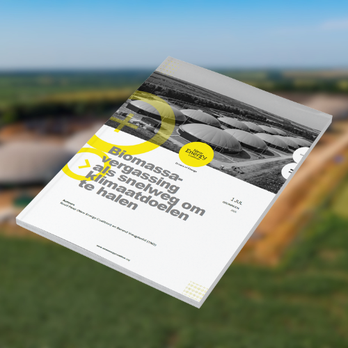 Biomass gasification as a highway to climate goals